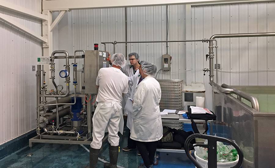 Microfiltration plants for purification of salting tanks | brine process